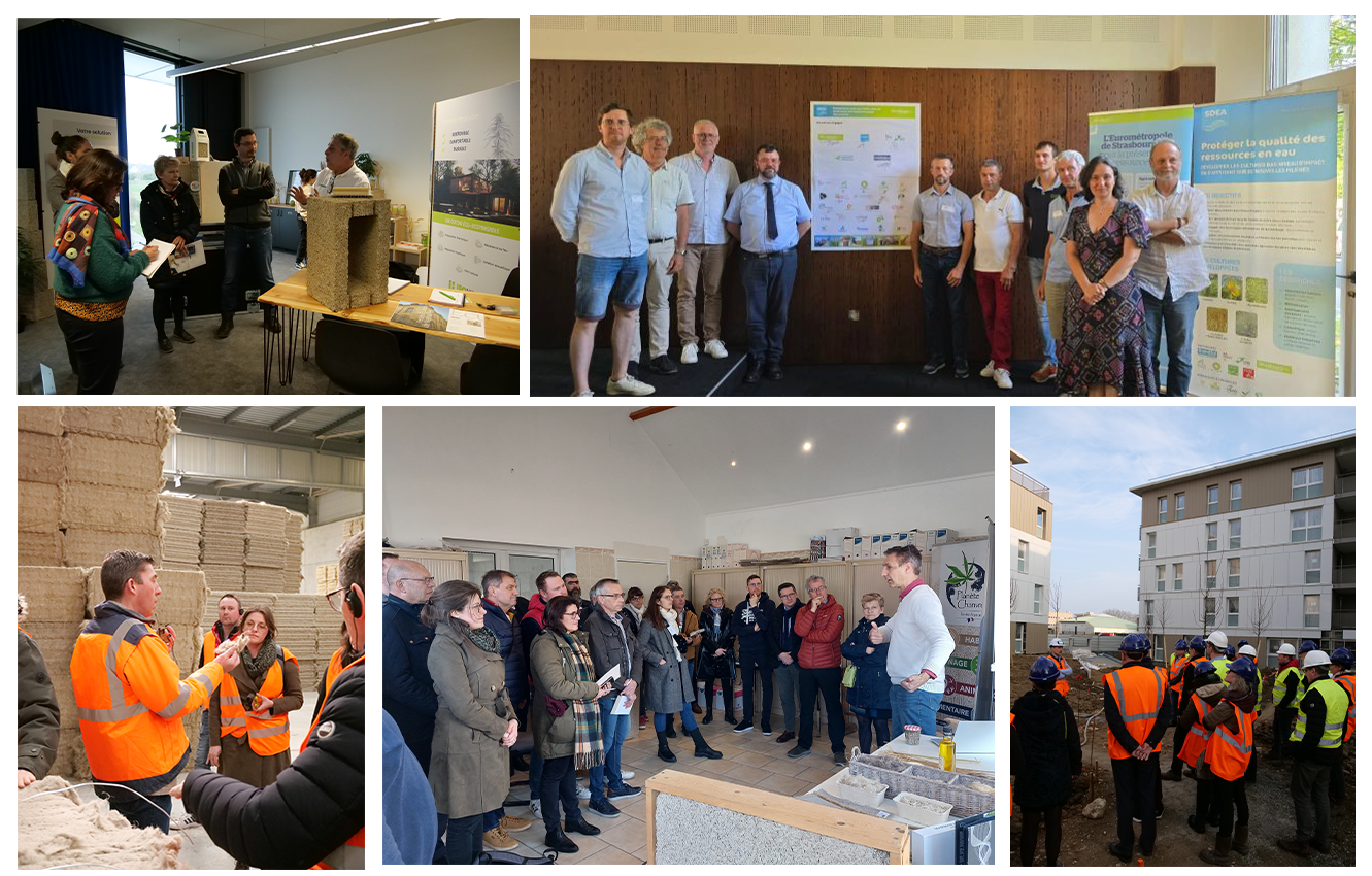 Un projet structurant pour impulser une filière chanvre en Alsace ...